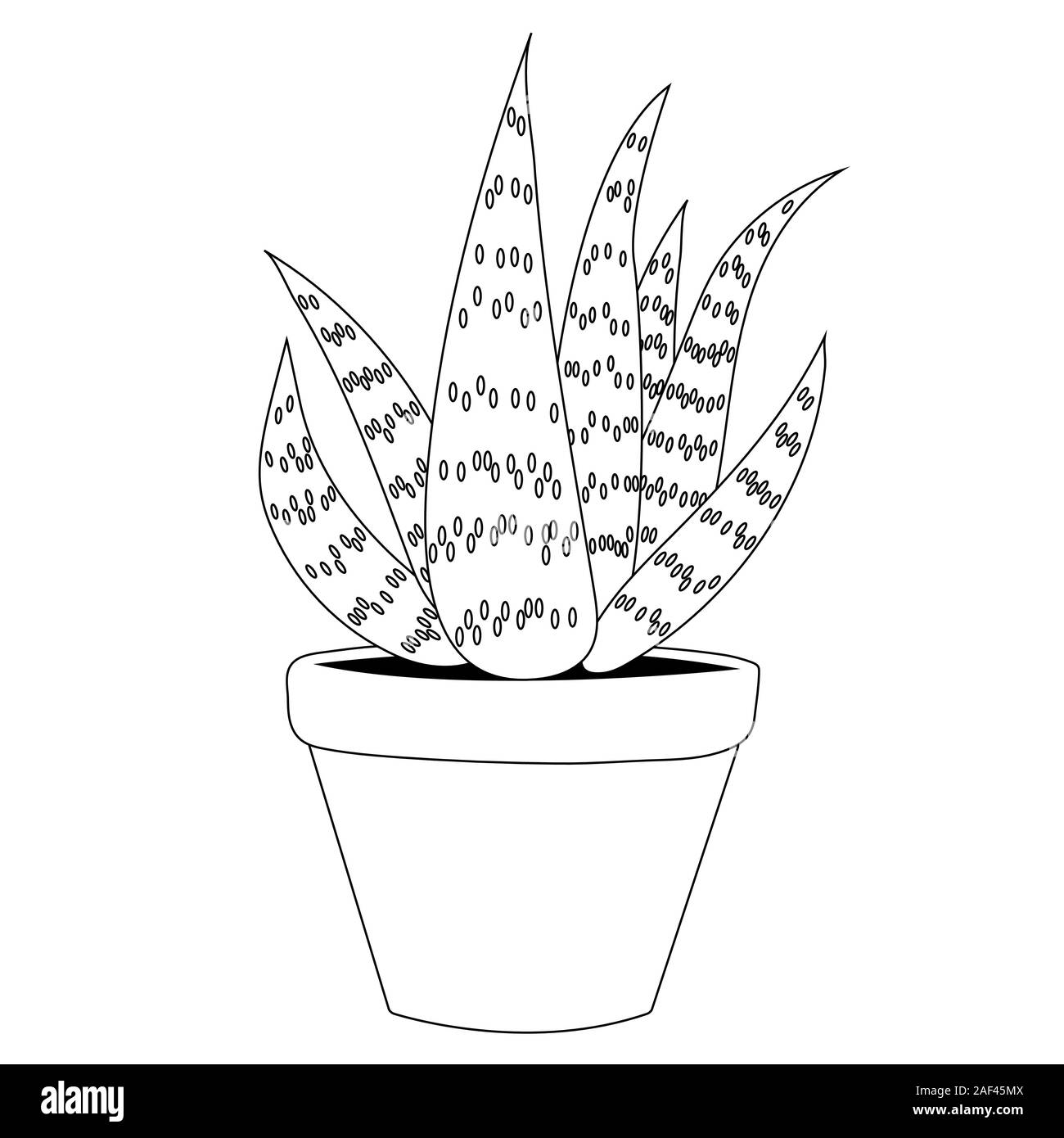 Aloe vera outline. Isolated stock vector illustration Stock Vector ...
