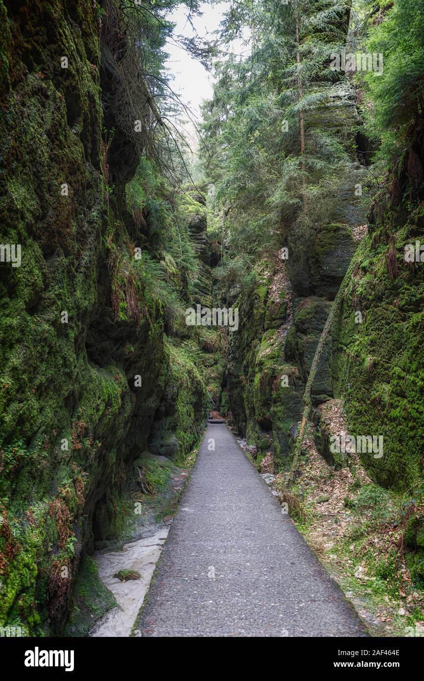 Small trail hi-res stock photography and images - Alamy