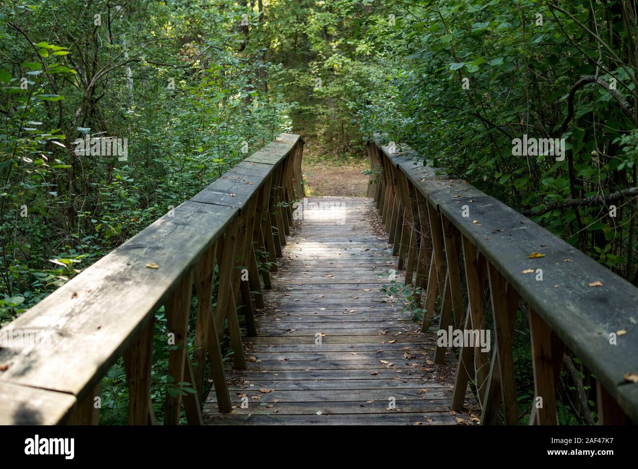 small wooden bridge inside of a forest at the end of a ground path ...