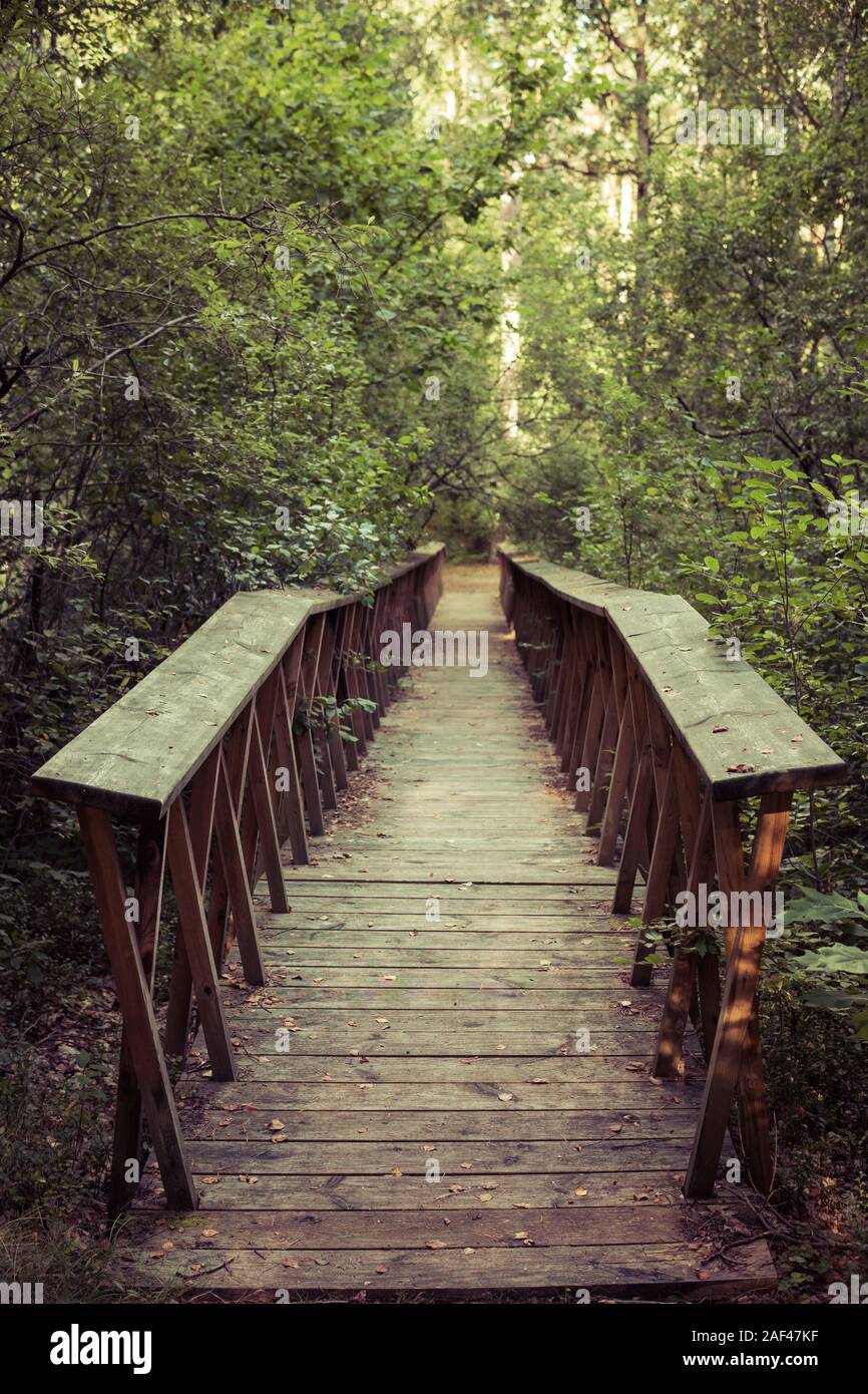 small wooden bridge inside of a forest at the end of a ground path ...