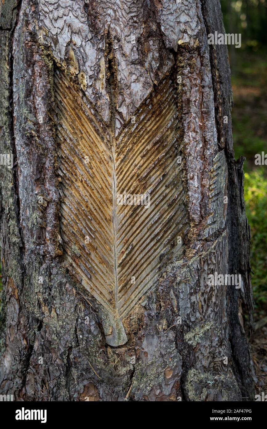 Inleakage hi-res stock photography and images - Alamy