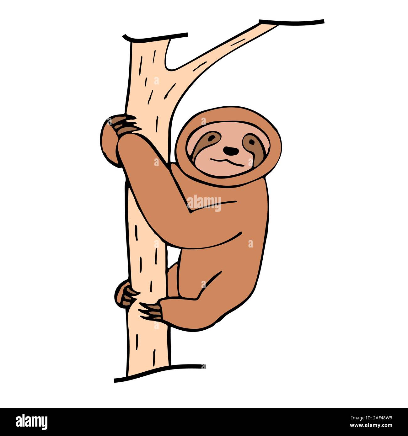 sloth hanging on a tree. isolated stock vector illustration Stock ...
