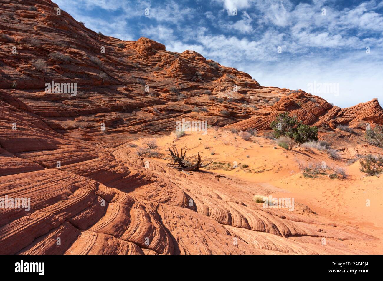 Harsh desert hi-res stock photography and images - Alamy