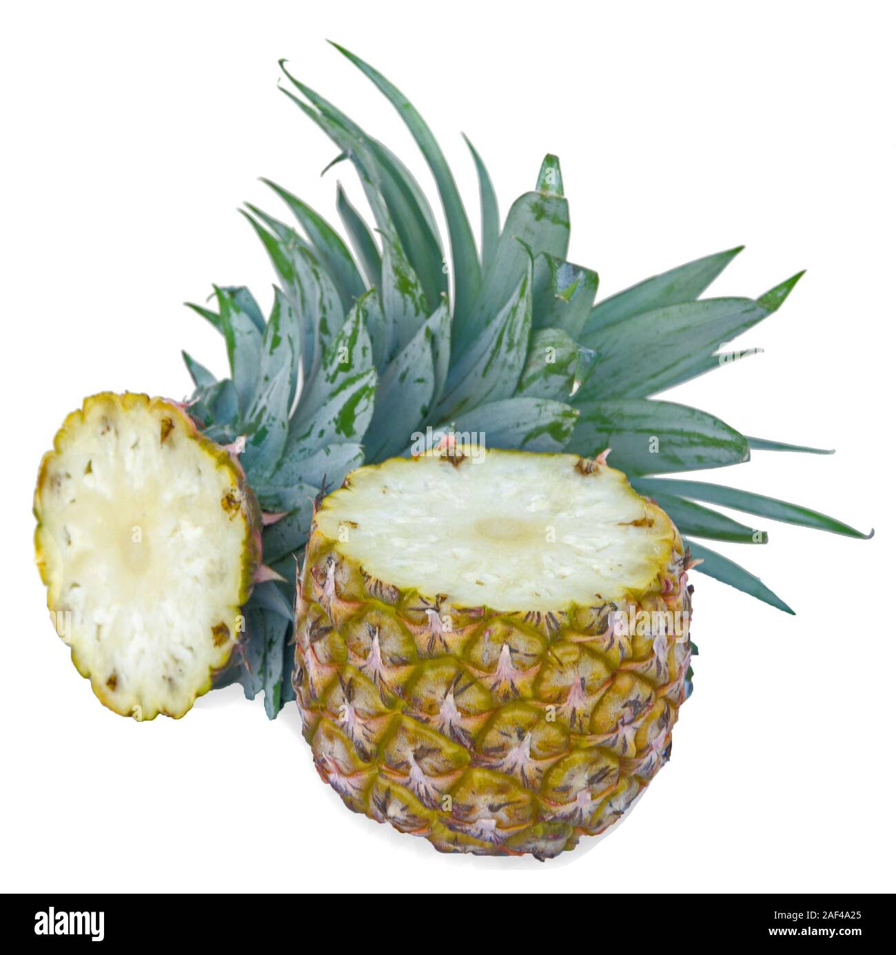 Cross sections pineapple pineapple hi-res stock photography and images ...