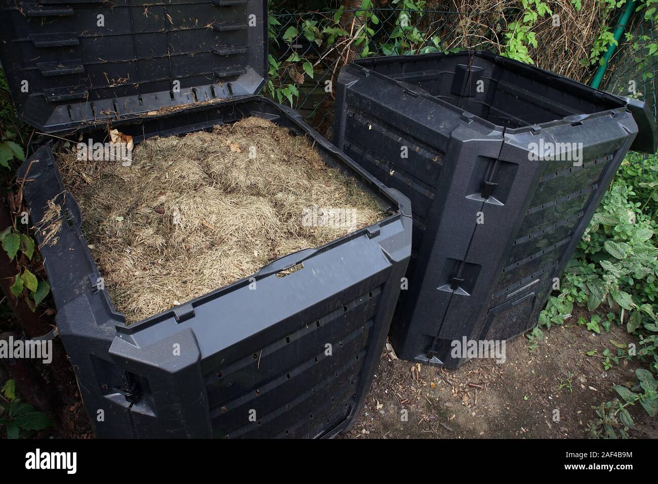 plastic backyard composter in the garden Stock Photo - Alamy