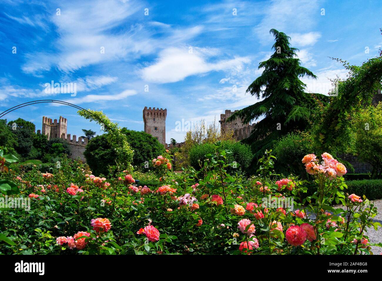 Roses and castles hi-res stock photography and images - Alamy