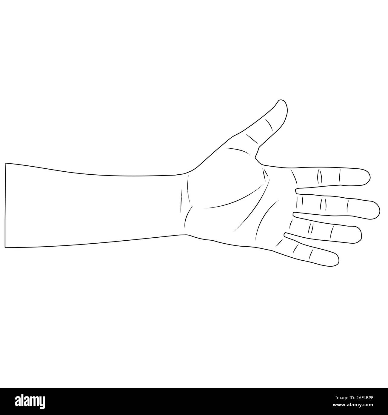 male white wrist. isolated outline stock vector illustration Stock ...
