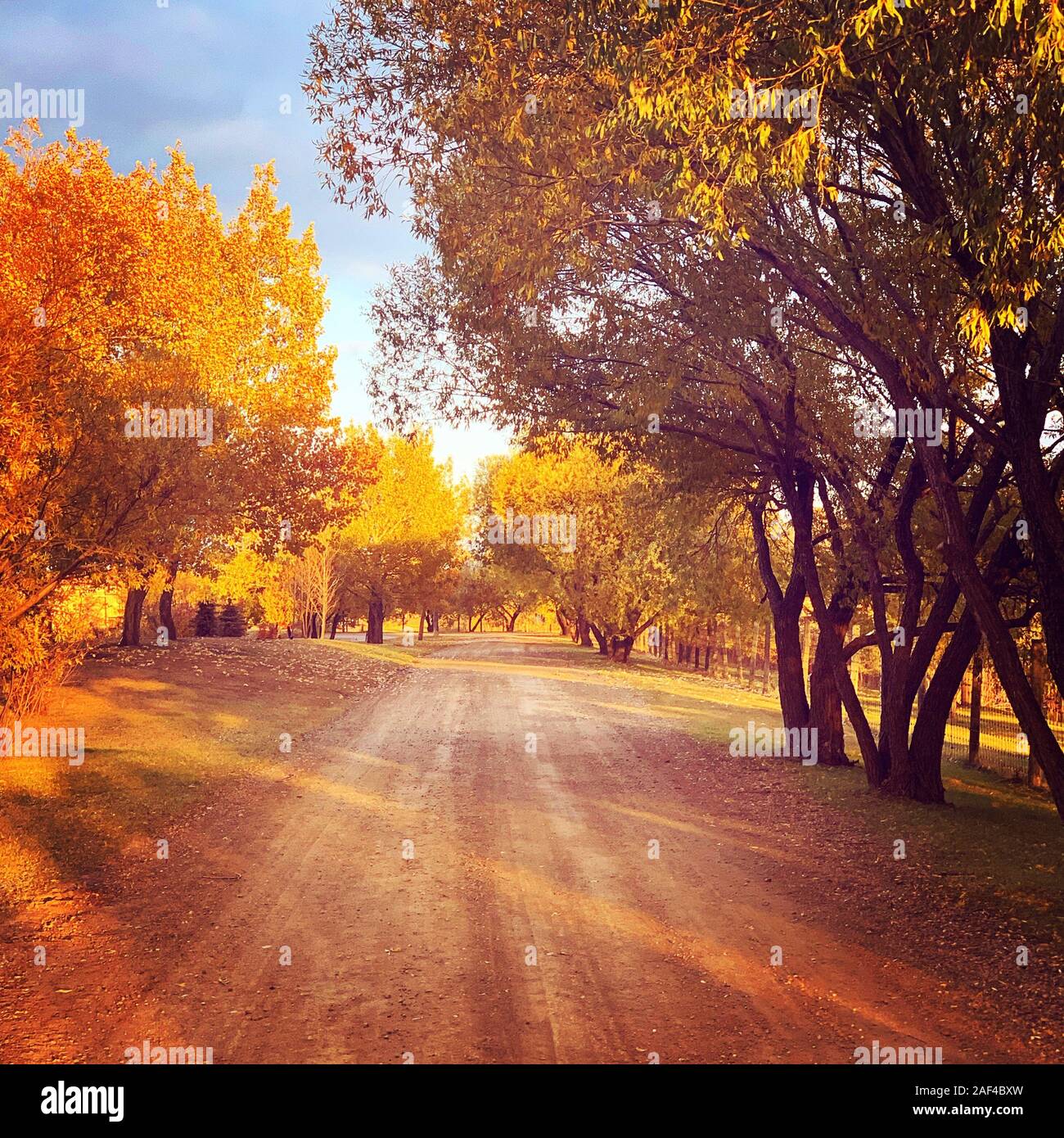 Beautiful fall landscape with color leaves. Natural Background Stock ...