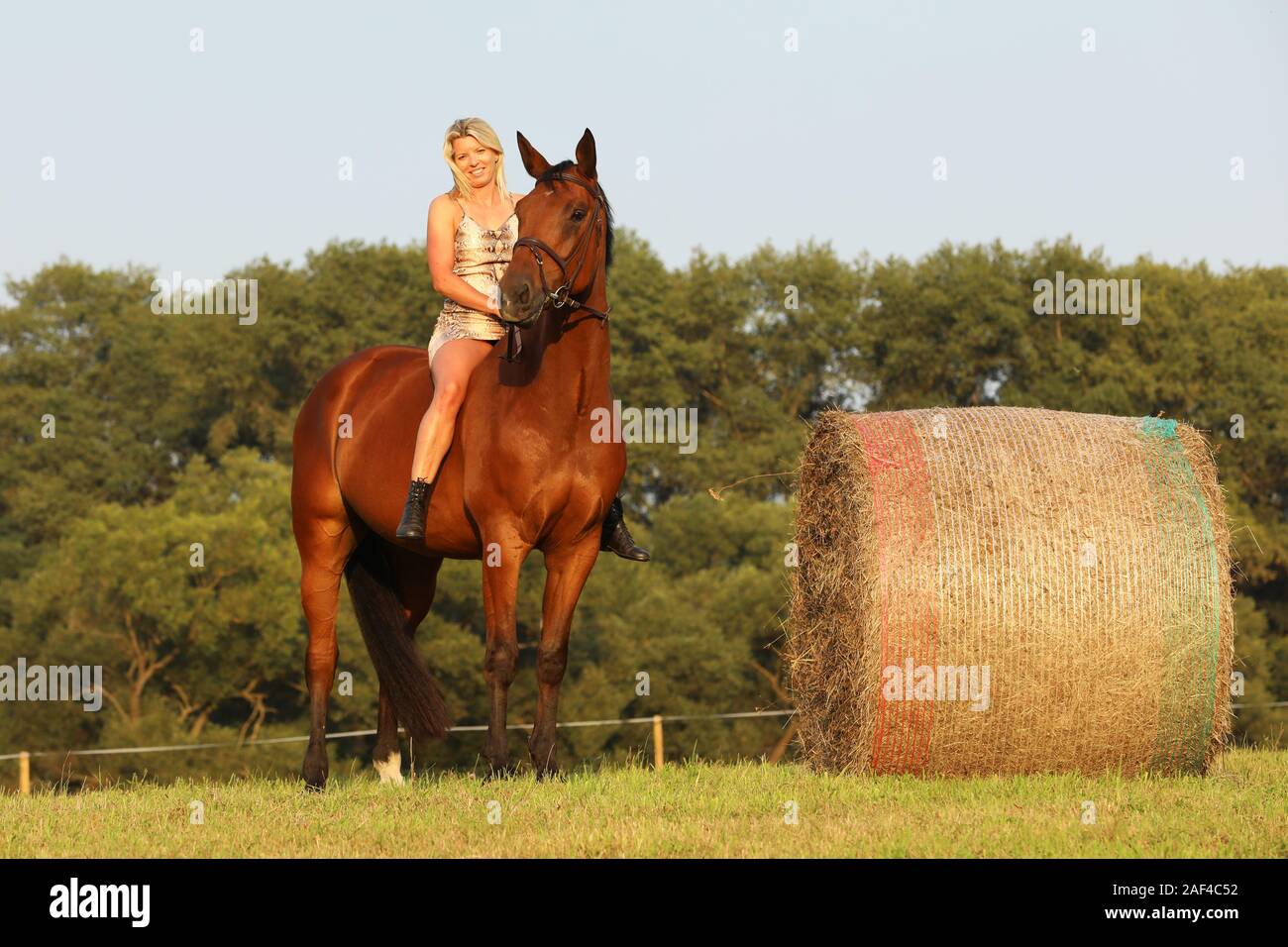 Lady horse rider hi-res stock photography and images - Alamy