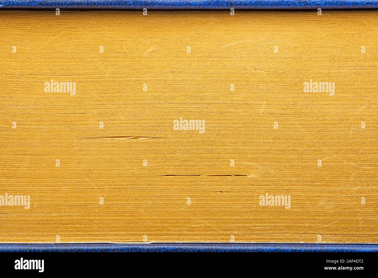 The macro texture of the book pages of book. Close-up side view. Layout ...