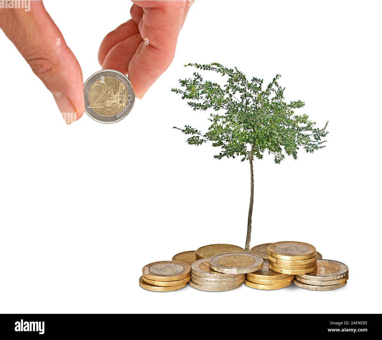 Tree growing from coins Stock Photo - Alamy