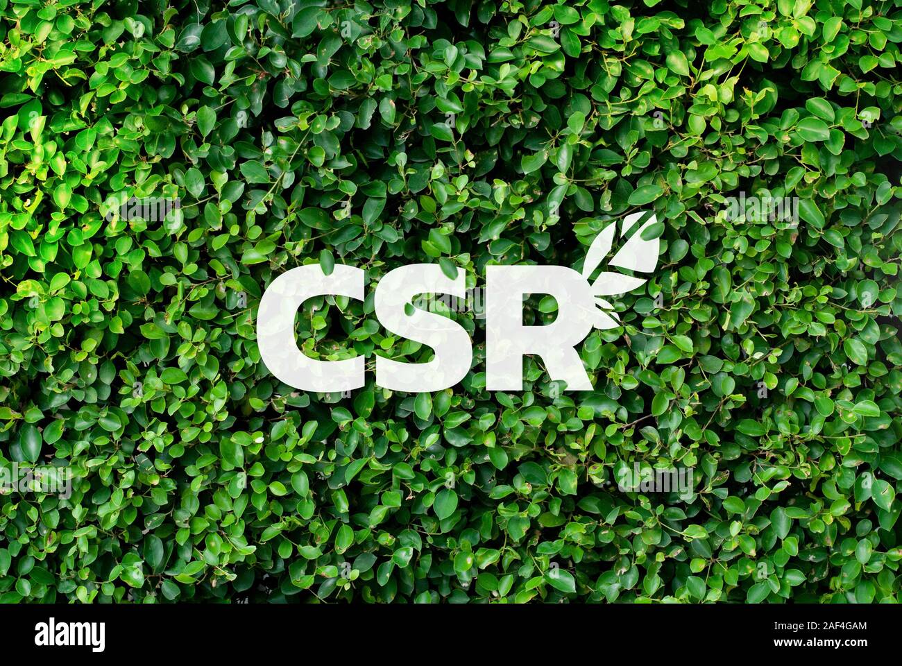 Earth parents hi-res stock photography and images - Alamy