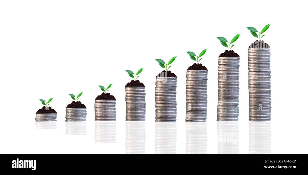 Money growing concept,Csr in success business. isolated with clipping ...