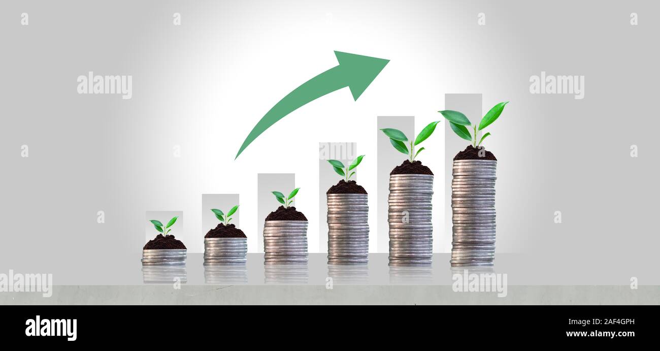 Money crops hi-res stock photography and images - Alamy