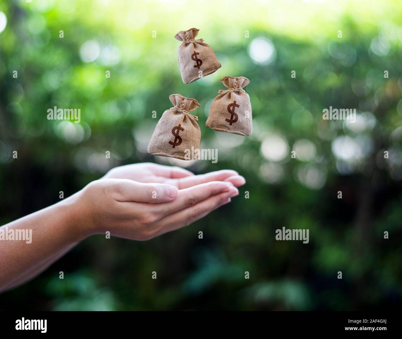 Money bag falling in hand, investment concept business growth Stock ...