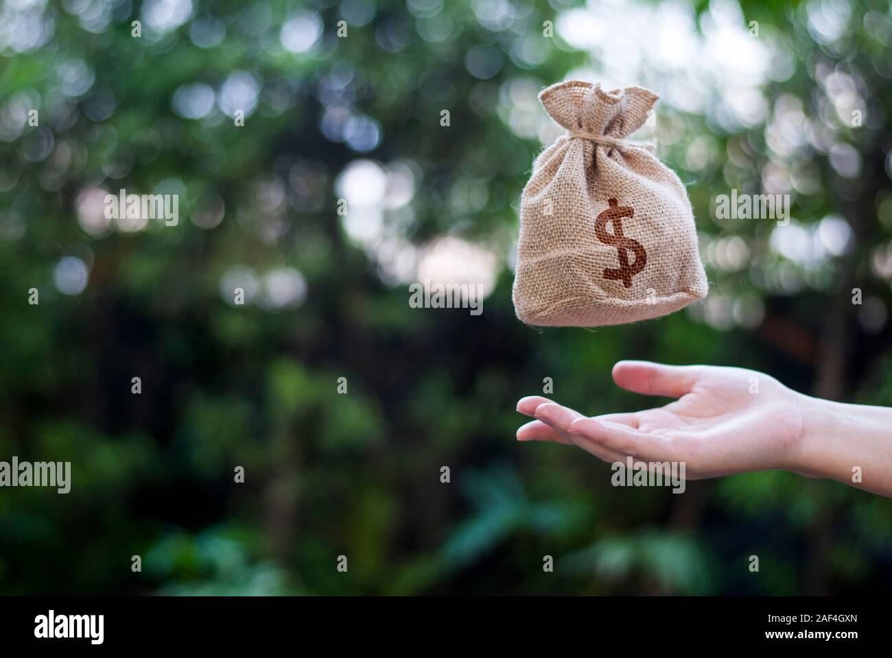 Money bag falling in hand, investment concept business growth Stock ...