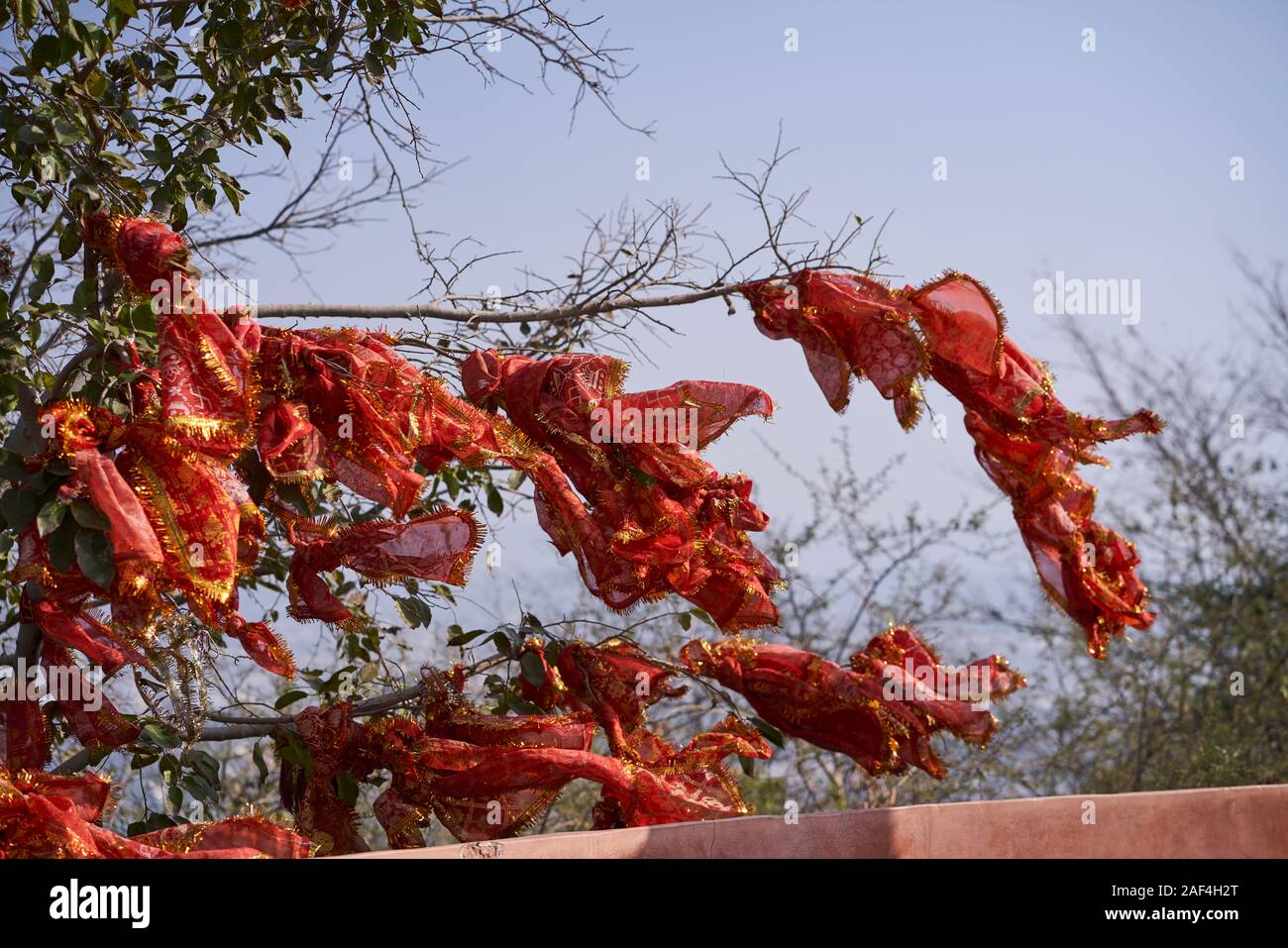 Prayer offerings of red fabric tied onto branches Stock Photo - Alamy
