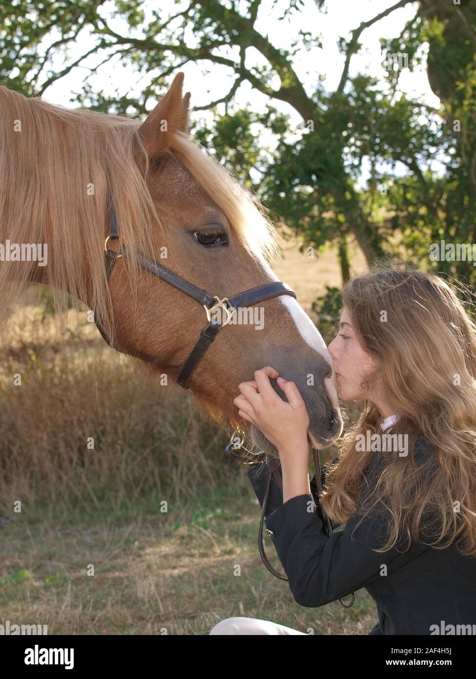A girl and her cute chestnut pony in the summer Stock Photo - Alamy