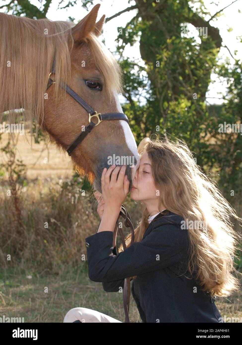 A girl and her cute chestnut pony in the summer Stock Photo - Alamy
