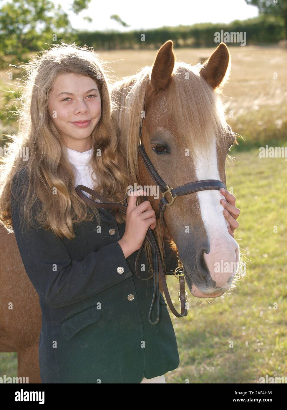 A girl and her cute chestnut pony in the summer Stock Photo - Alamy
