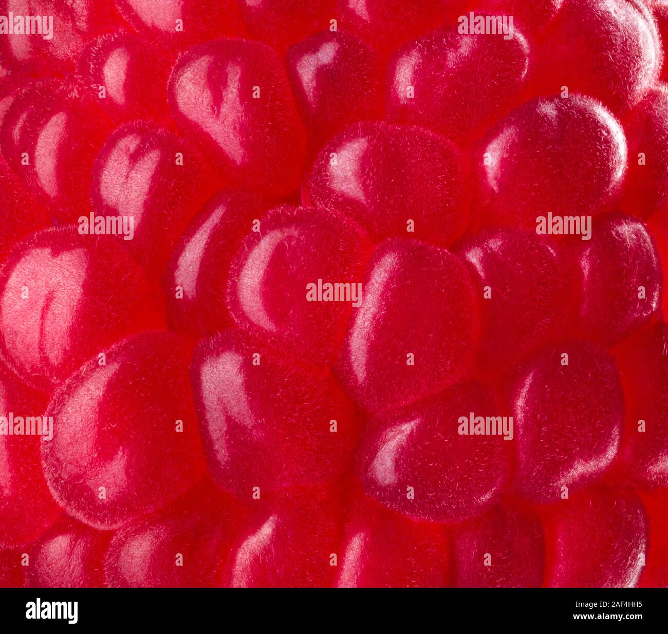 Macro photo of raspberry without leaves isolated on black background ...