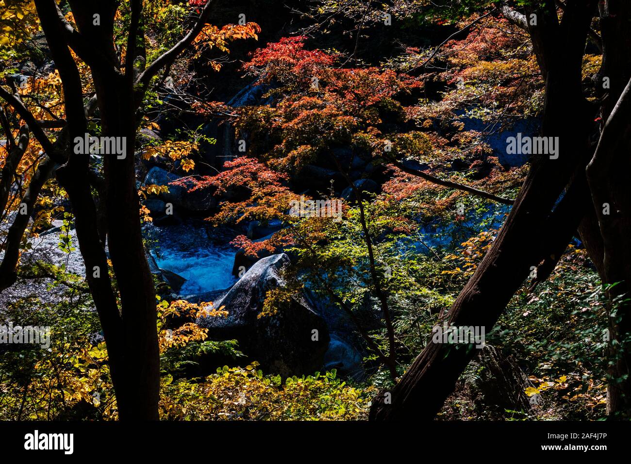 Mitake gorge hi-res stock photography and images - Alamy