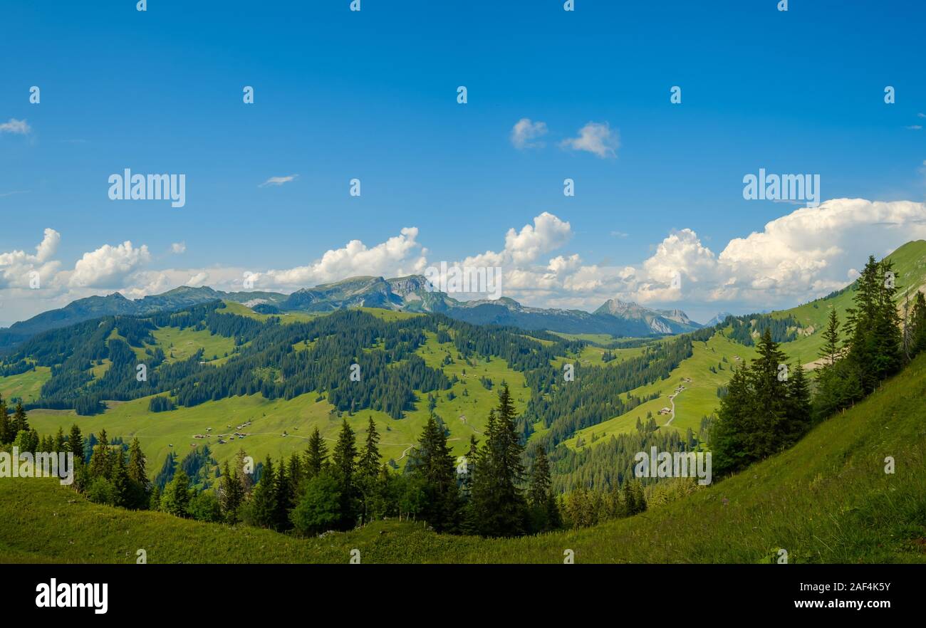 Summer time countryside panoramic landscape in Switzerland Stock Photo ...