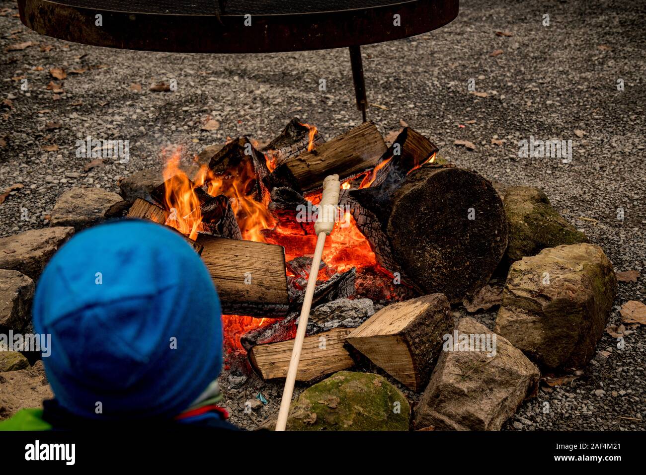 Preparing stick bread in the embers of a campfire Stock Photo - Alamy
