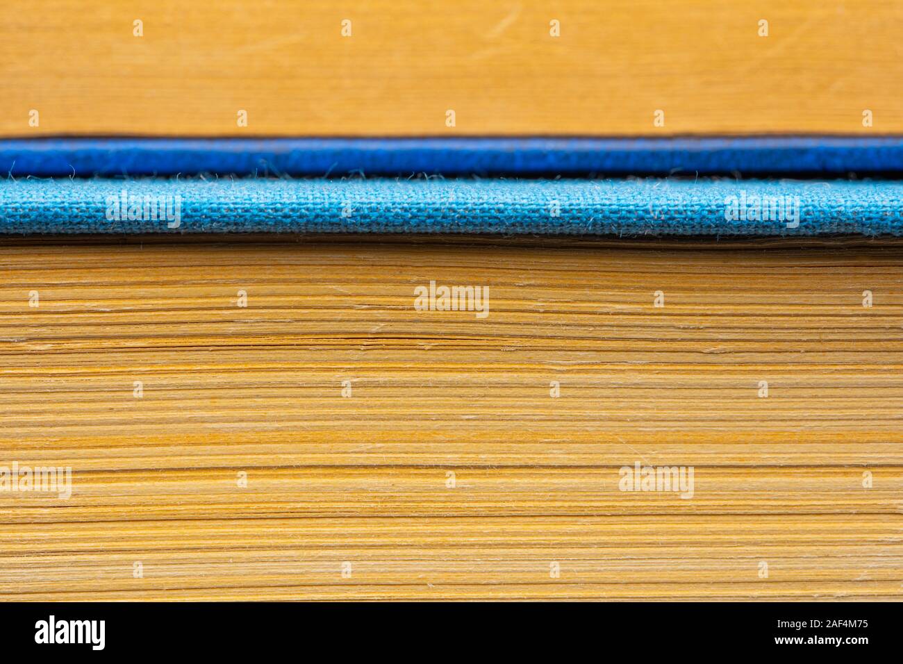 The macro texture of the book pages. Close-up side view. Layout for ...