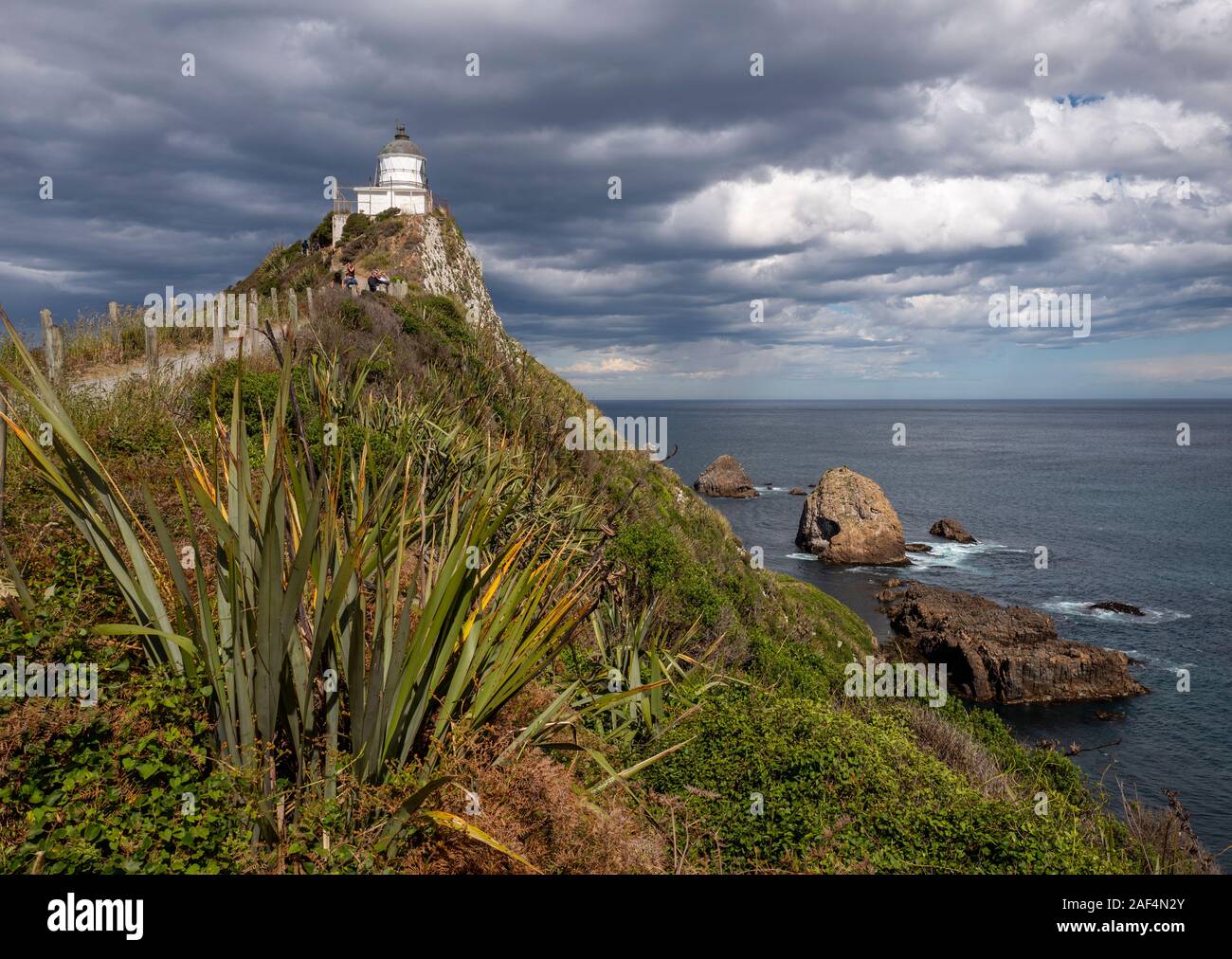 Nugget Point Lighthouse at the Catlins, Otago, New Zealand Stock Photo ...