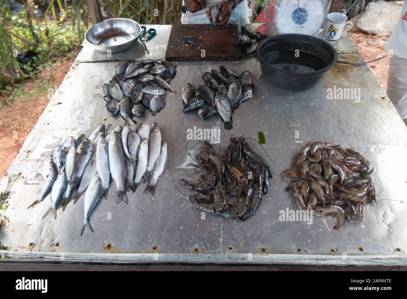 Buy an island hi-res stock photography and images - Alamy