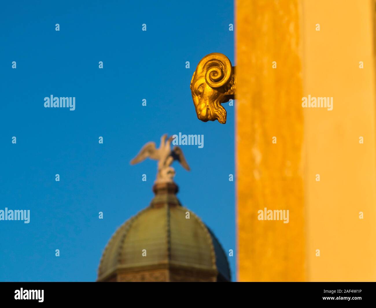 Two headed goat hi-res stock photography and images - Alamy
