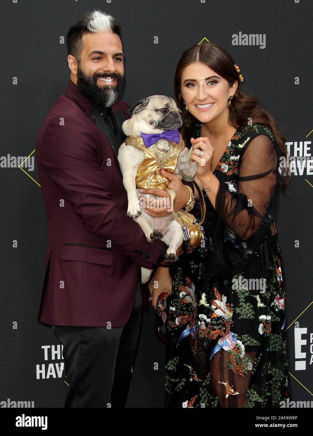 Doug the pug hi-res stock photography and images - Alamy