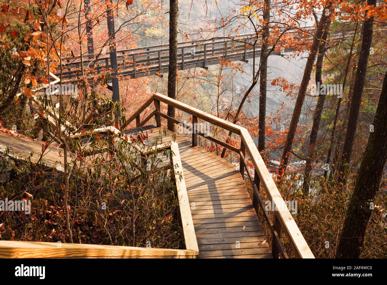Appalachian trail steps hi-res stock photography and images - Alamy