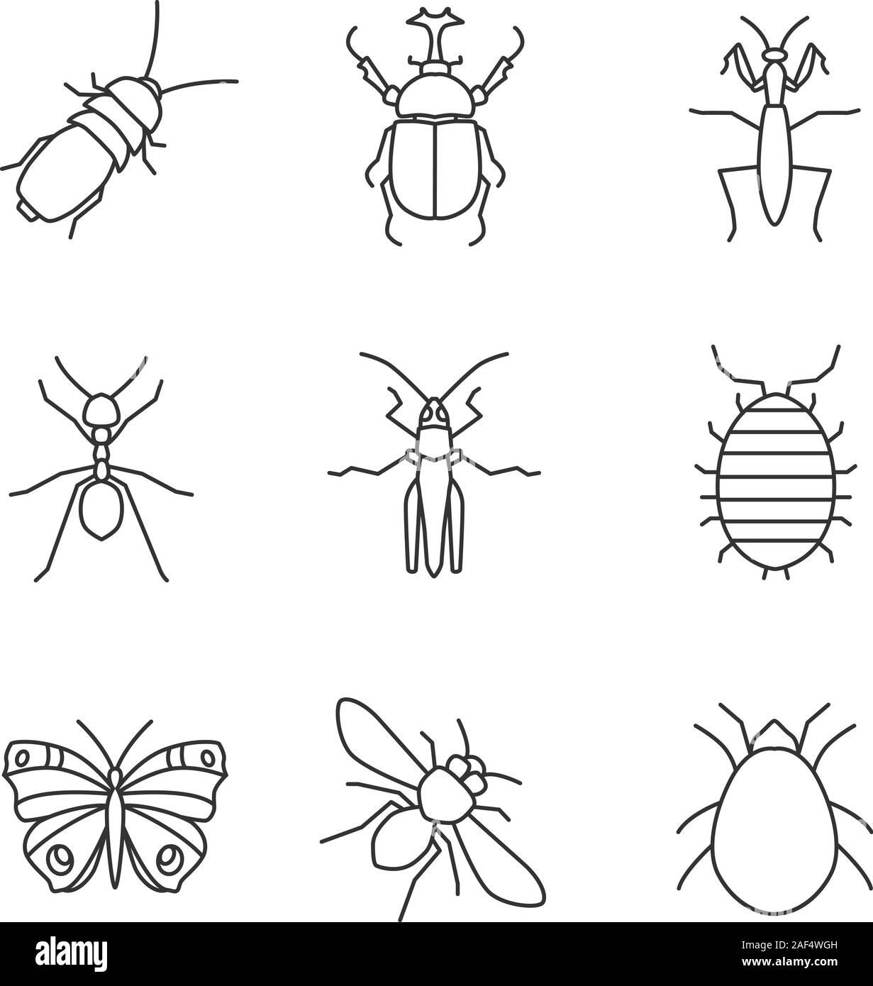 The ant and the grasshopper Black and White Stock Photos & Images - Alamy