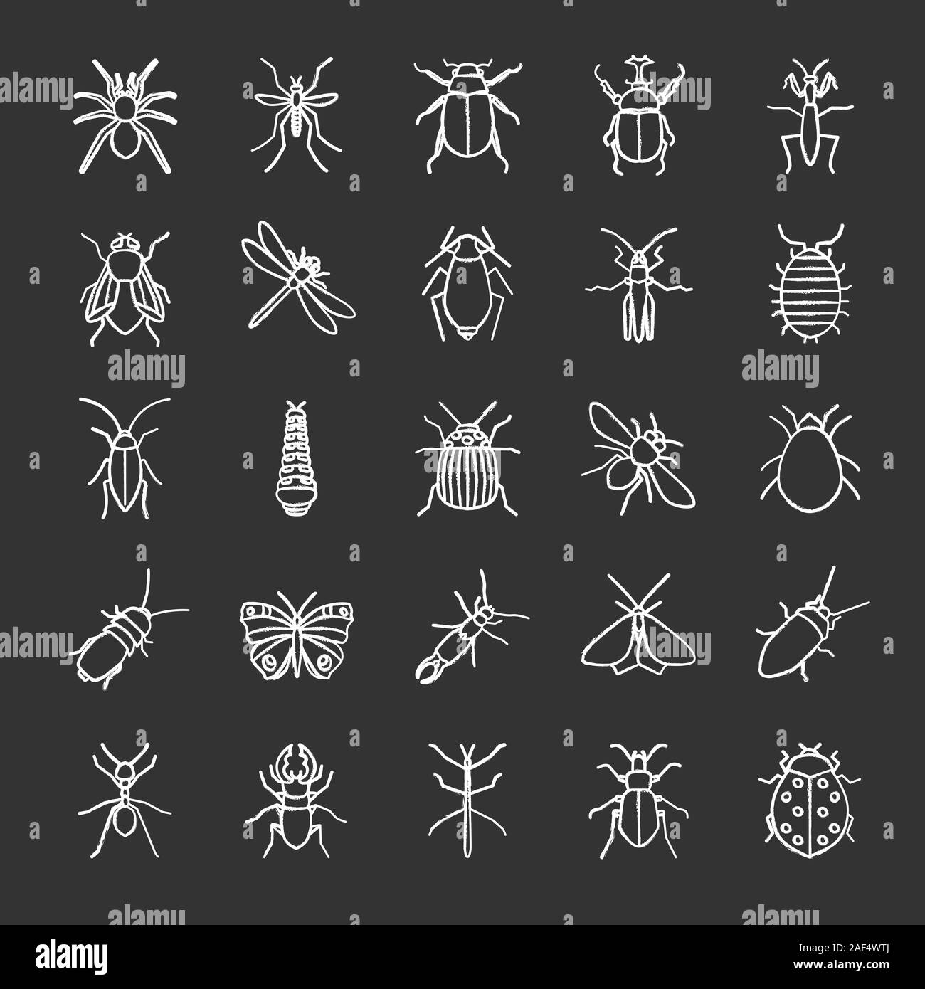 Insecta insects Stock Vector Images - Alamy