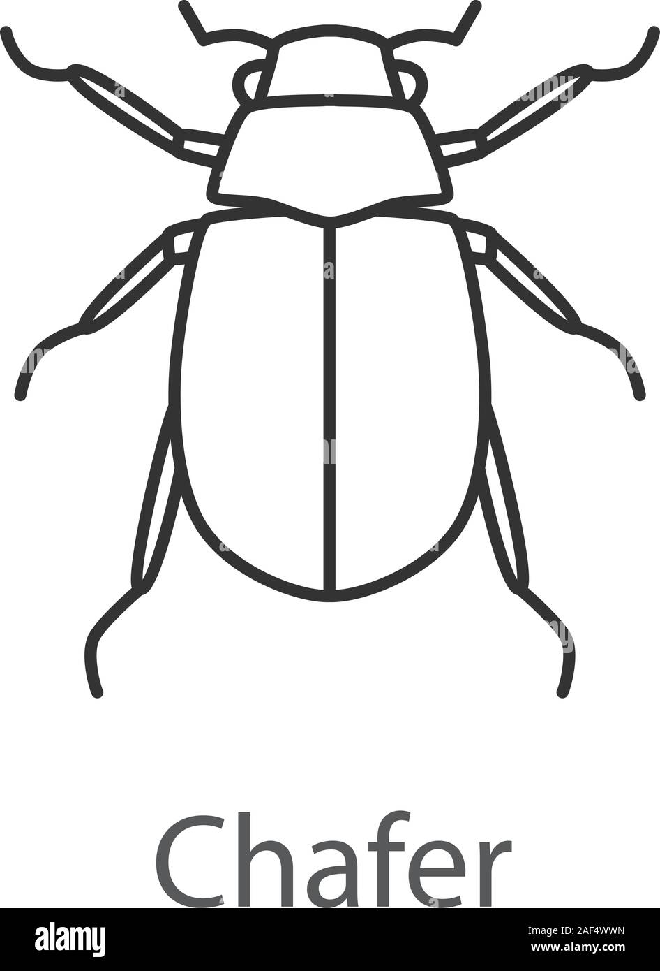 June bug Stock Vector Images - Alamy