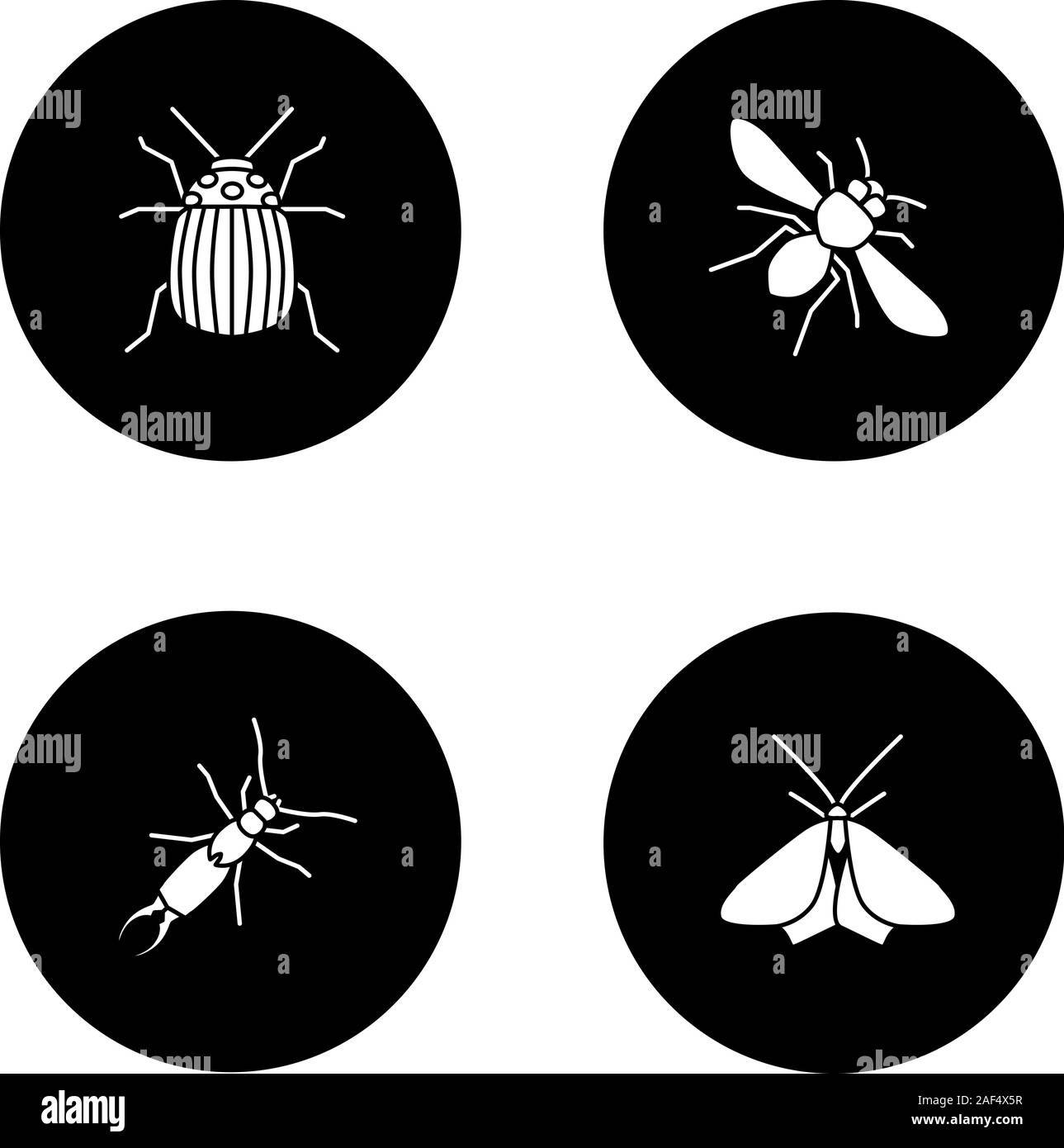 Insects glyph icons set. Colorado beetle, honey bee, earwig, moth ...