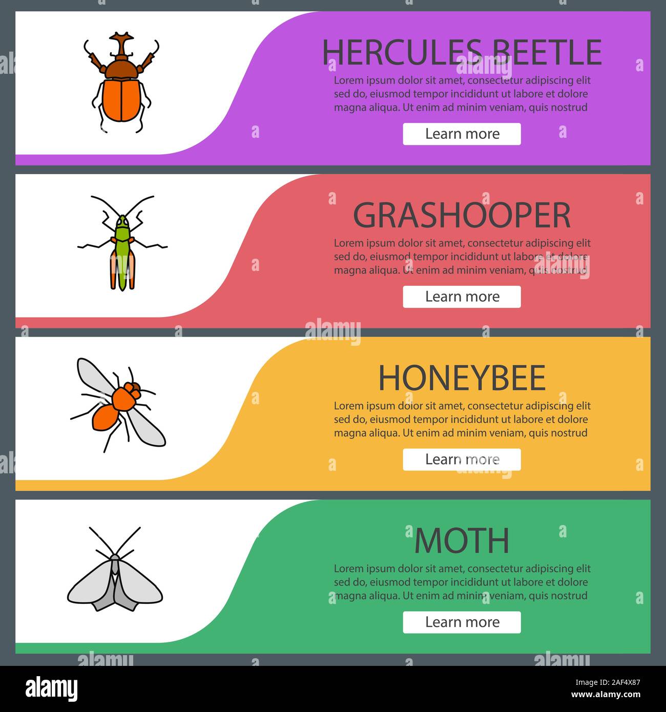 Insects web banner templates set. Hercules beetle, grasshopper ...
