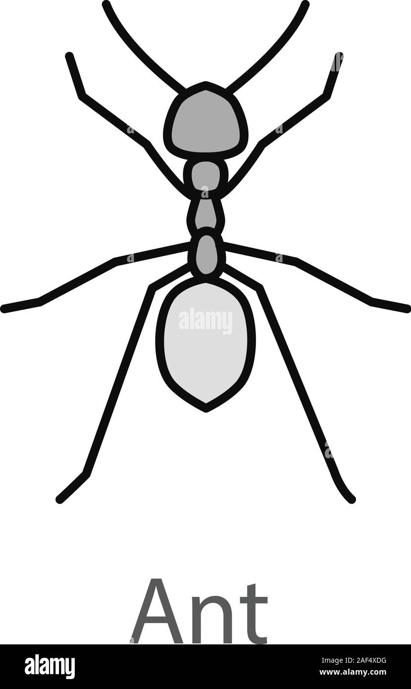 Ant color icon. Insect. Isolated vector illustration Stock Vector Image ...
