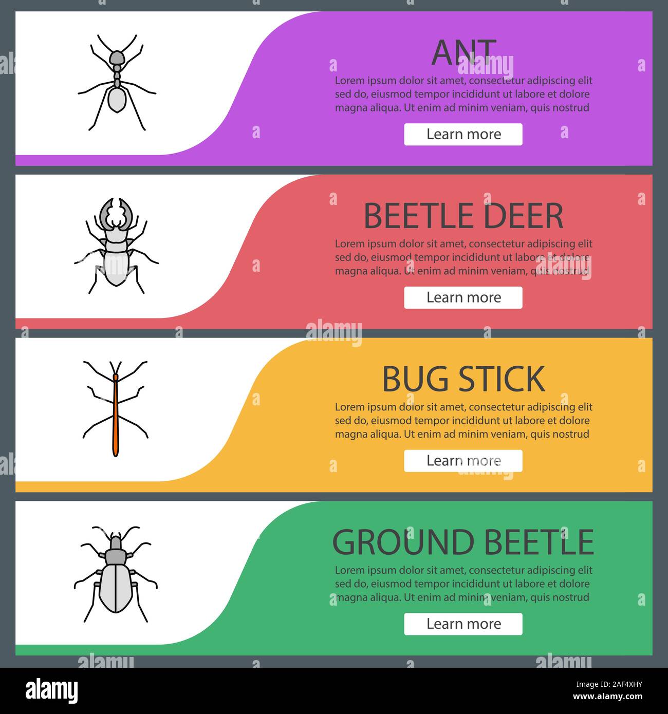 Insects web banner templates set. Ant, stag bug, phasmid, ground beetle ...