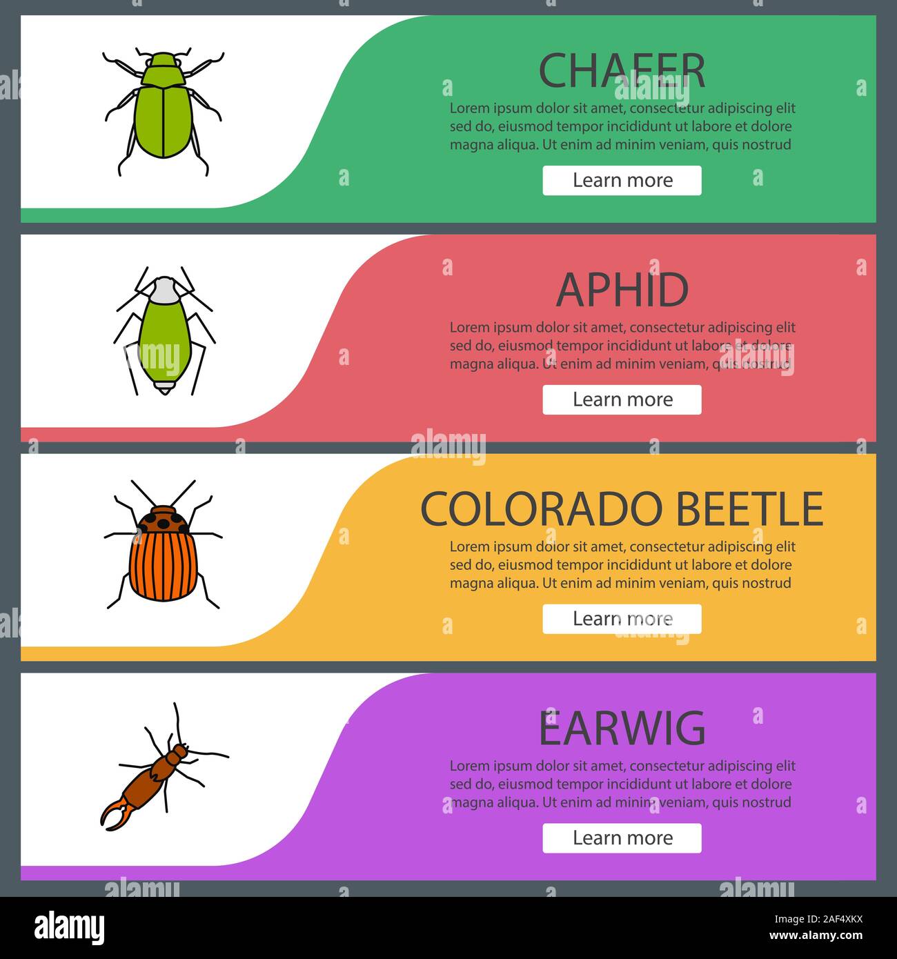 Insects web banner templates set. Chafer, aphid, colorado beetle ...