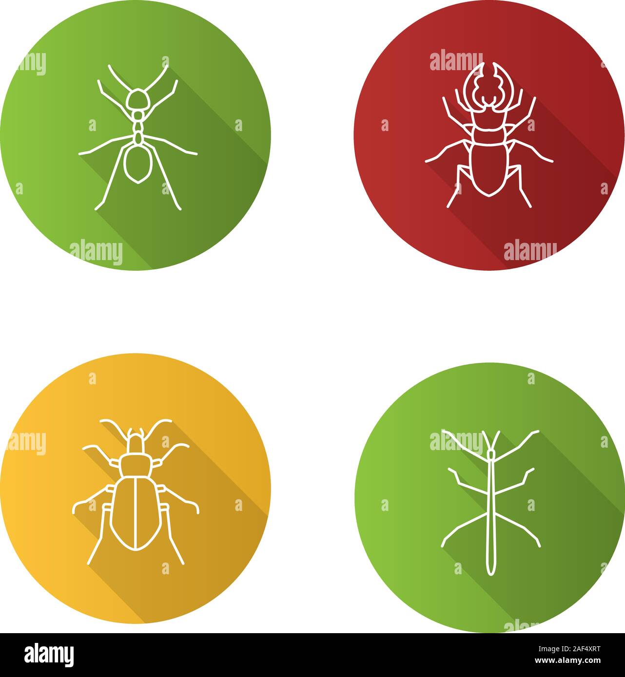 Insects flat linear long shadow icons set. Ant, stag beetle, ground bug, phasmid. Vector outline ...