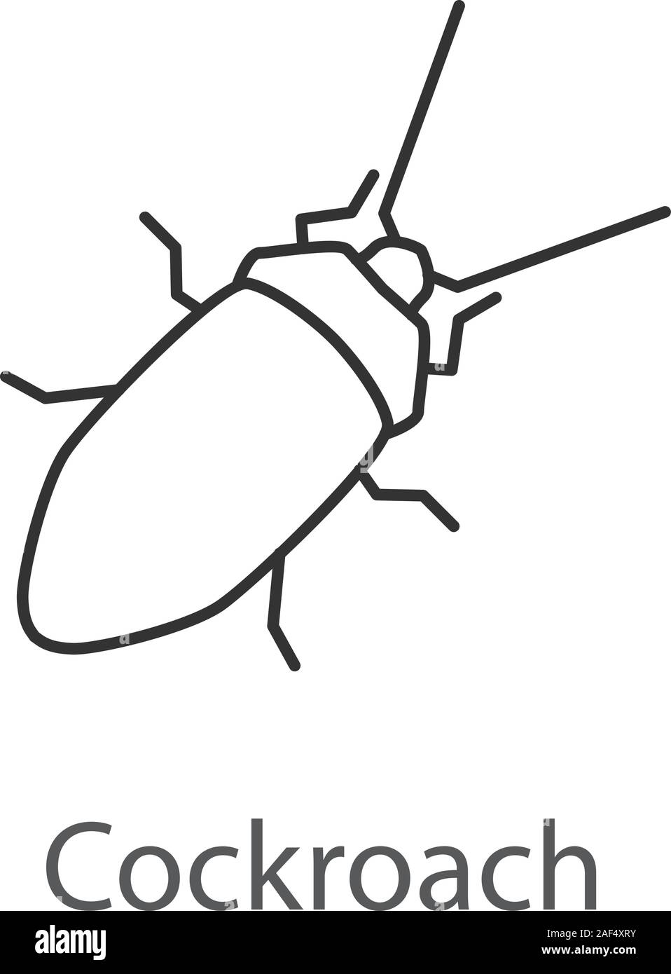 Cockroach linear icon. Thin line illustration. Insect. Contour symbol ...
