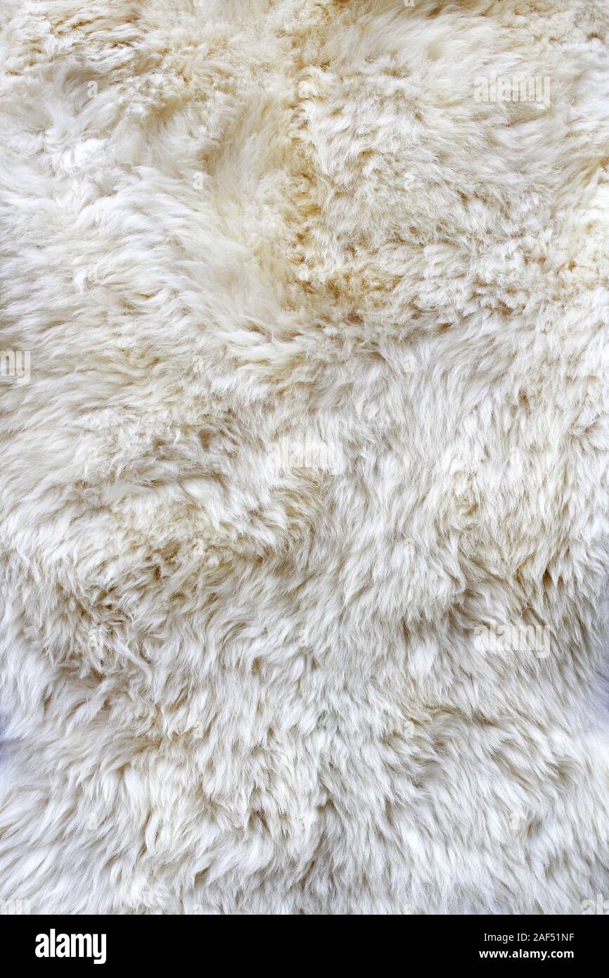 Animal fur texture hi-res stock photography and images - Alamy