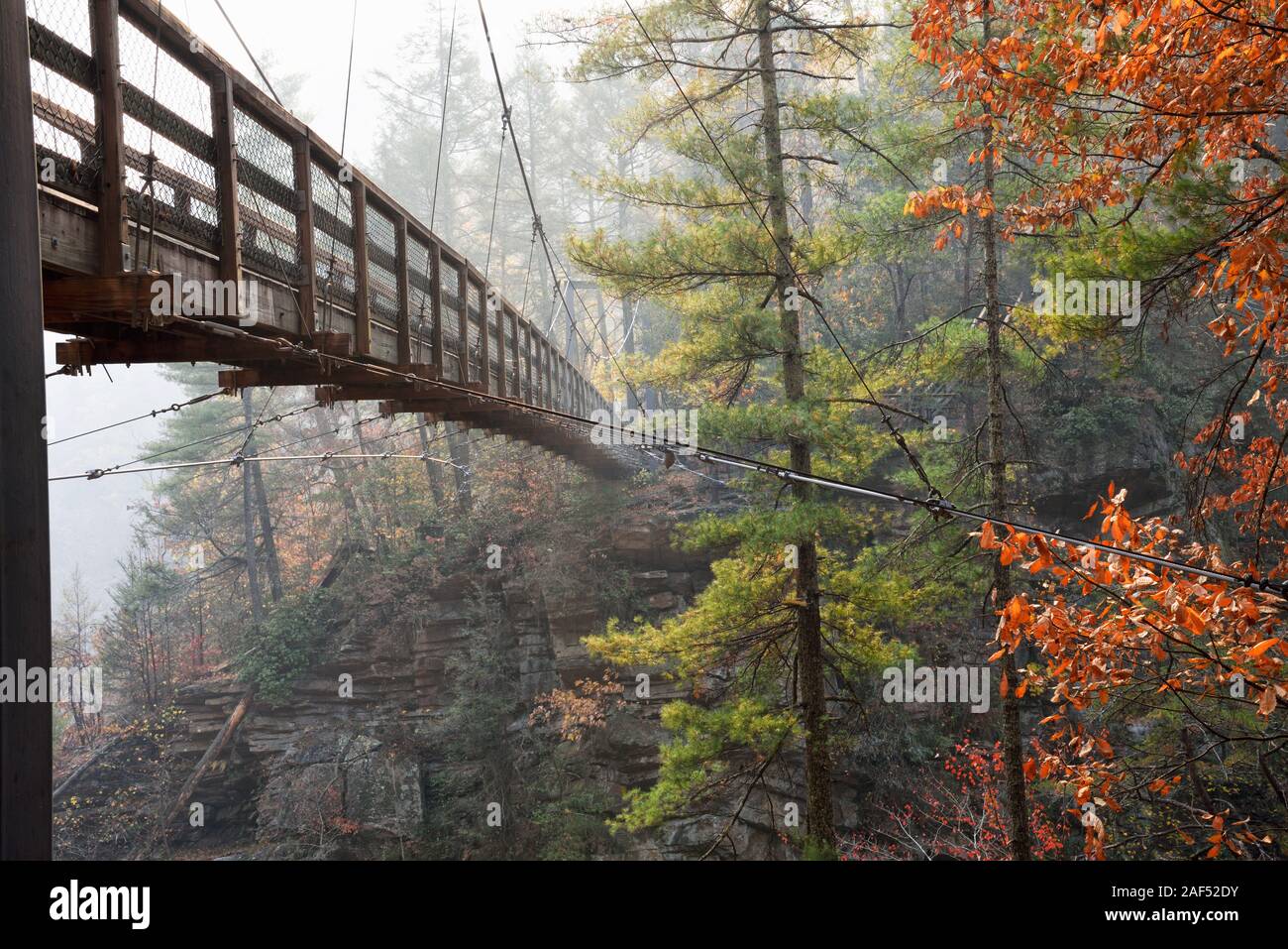 Tallulah gorge suspension bridge hi-res stock photography and images - Alamy