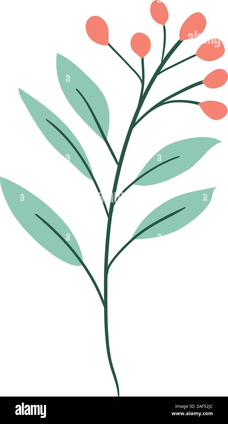 Isolated leaf plant vector design Stock Vector Image & Art - Alamy