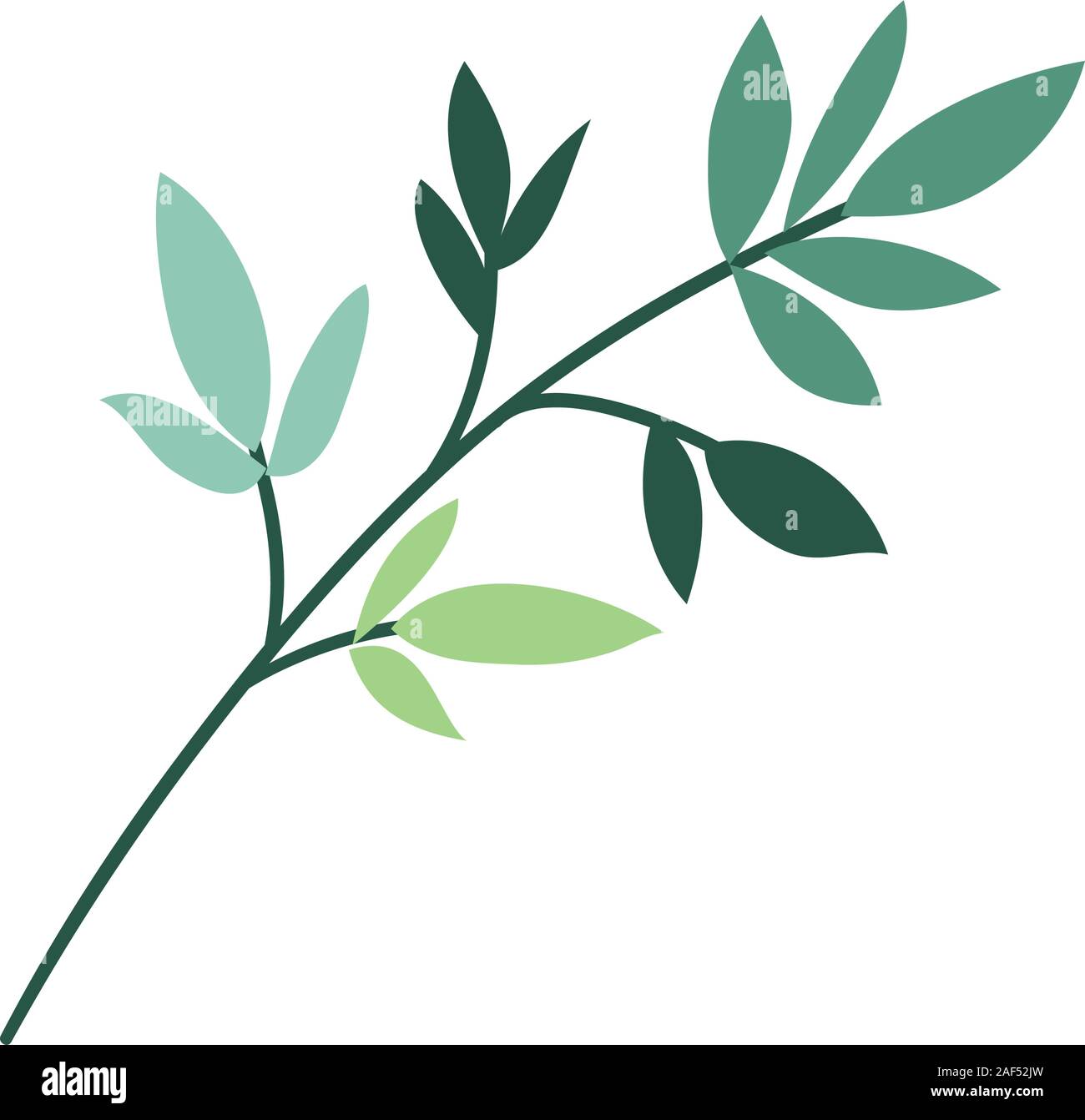 Isolated leaf plant vector design Stock Vector Image & Art - Alamy