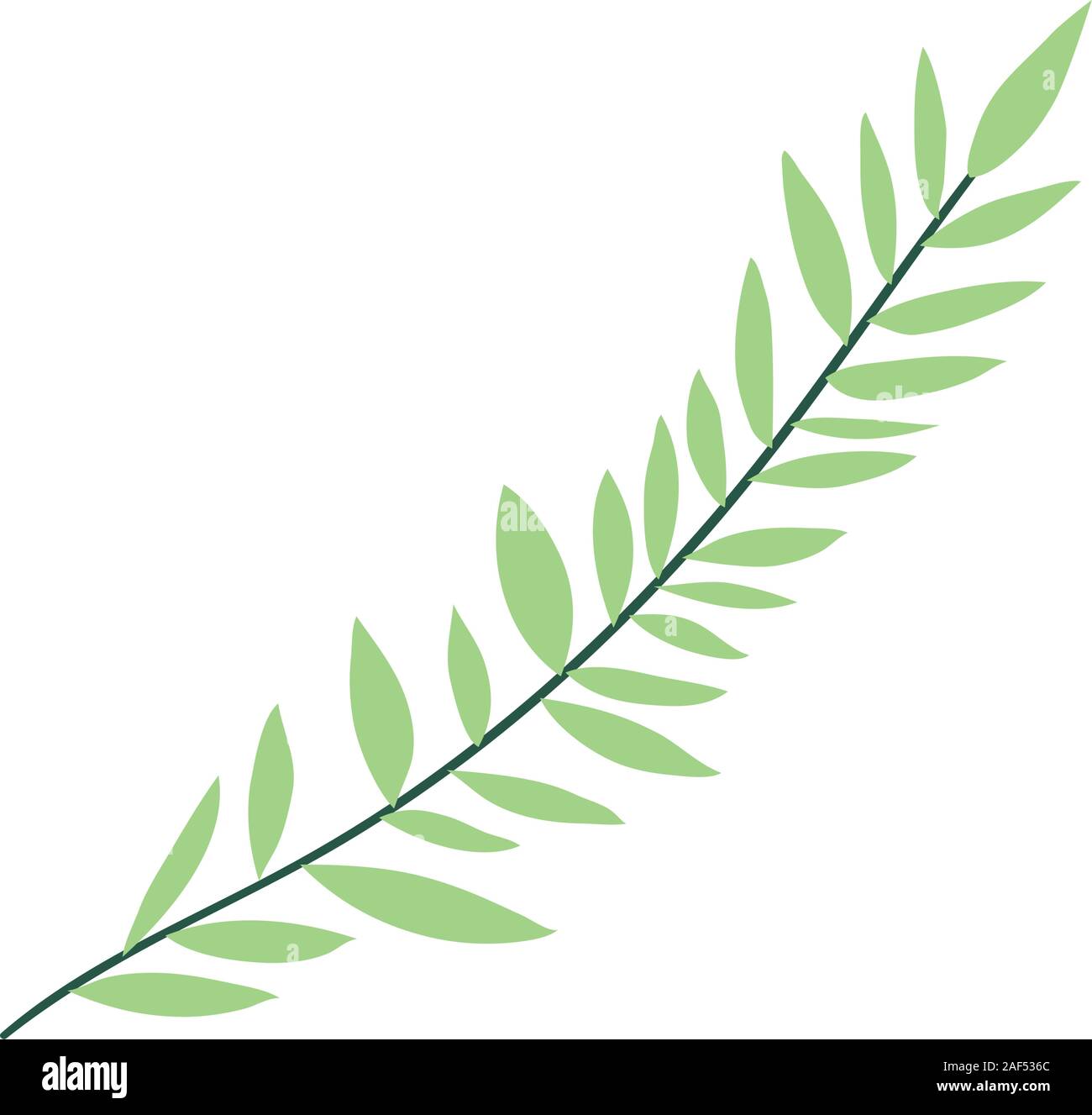 Isolated leaf plant vector design Stock Vector Image & Art - Alamy