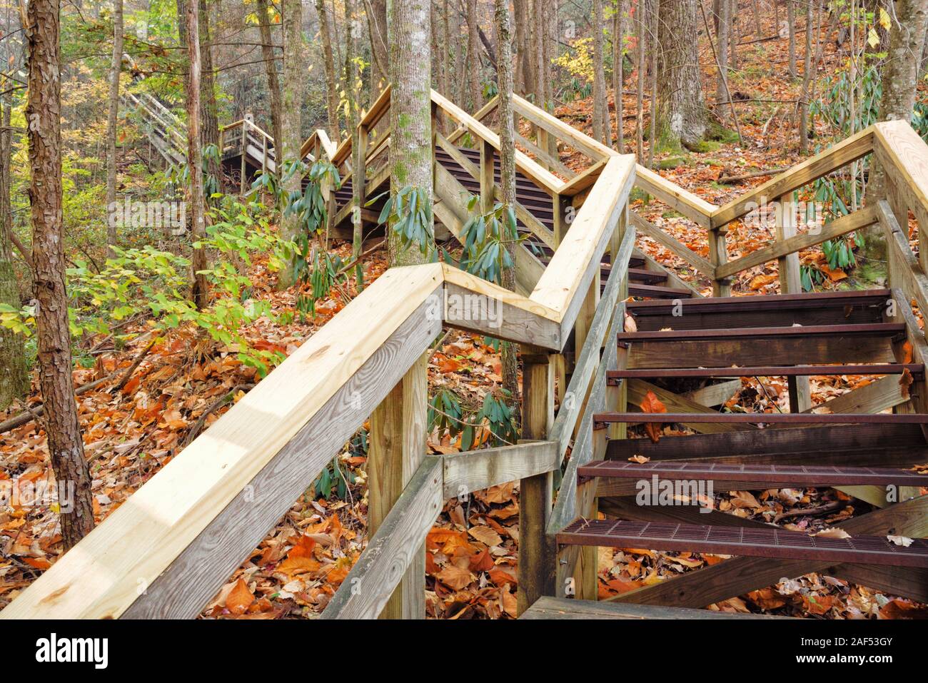 Elevated walkways hi-res stock photography and images - Alamy